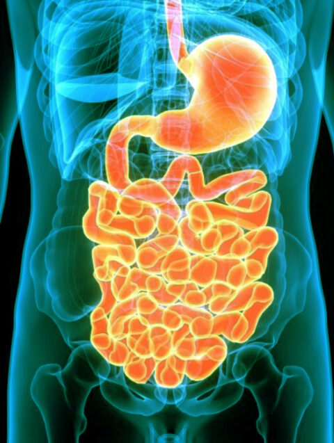 Cancer Peritonial - cancerperitoneal.com.br